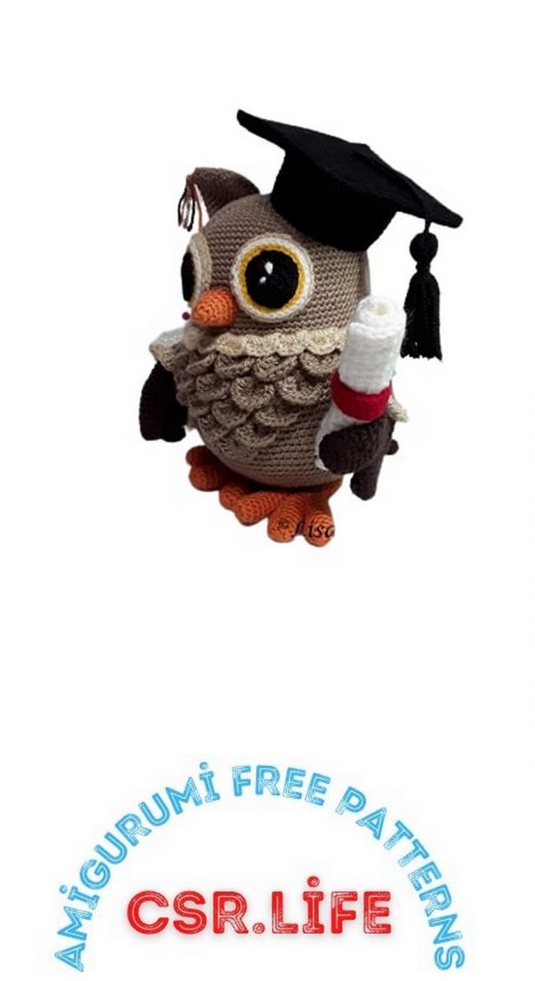 Amigurumi Wisdom The Graduation Owl Free Pattern - Free Amigurumi ...