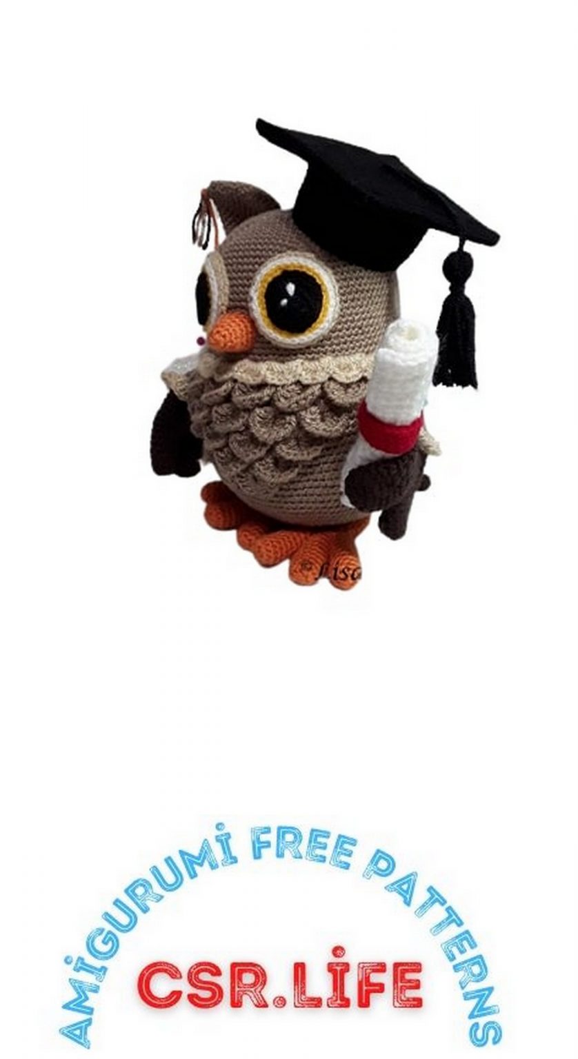 Amigurumi Wisdom The Graduation Owl Free Pattern - Free Amigurumi ...