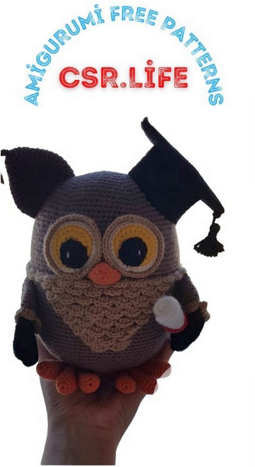 Amigurumi Wisdom The Graduation Owl Free Pattern - Free Amigurumi ...
